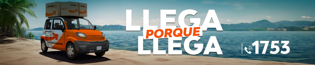 Forza Delivery Express